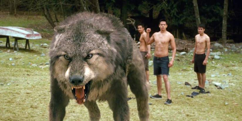 Twilight: 9 Ways The Werewolves Are Different From Conventional Werewolves