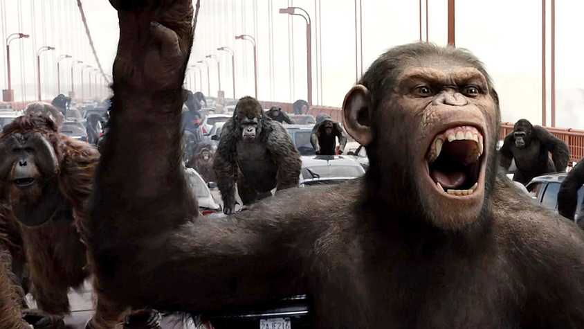 Lucy Ending Explained