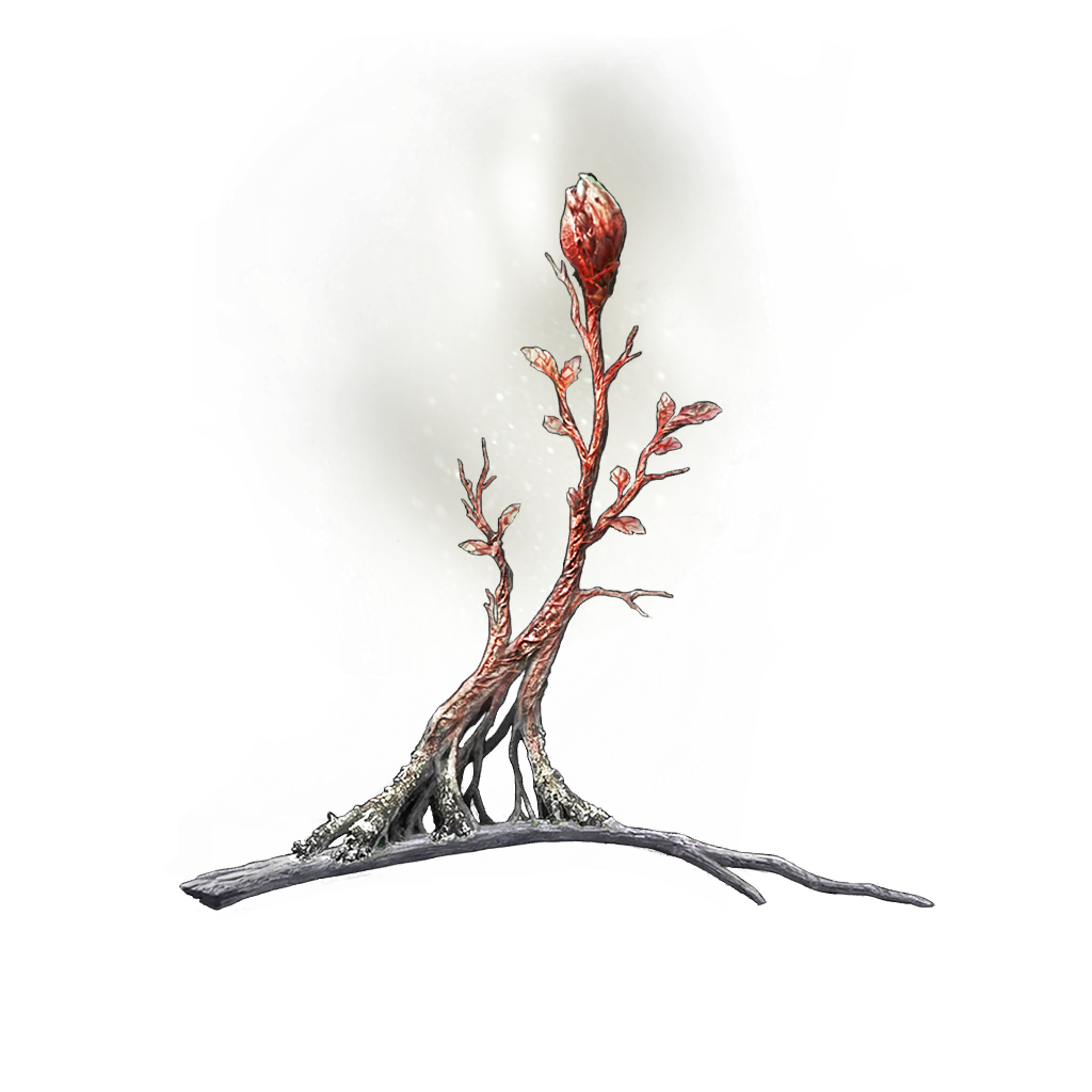 Elden Ring: How To Cure Scarlet Rot