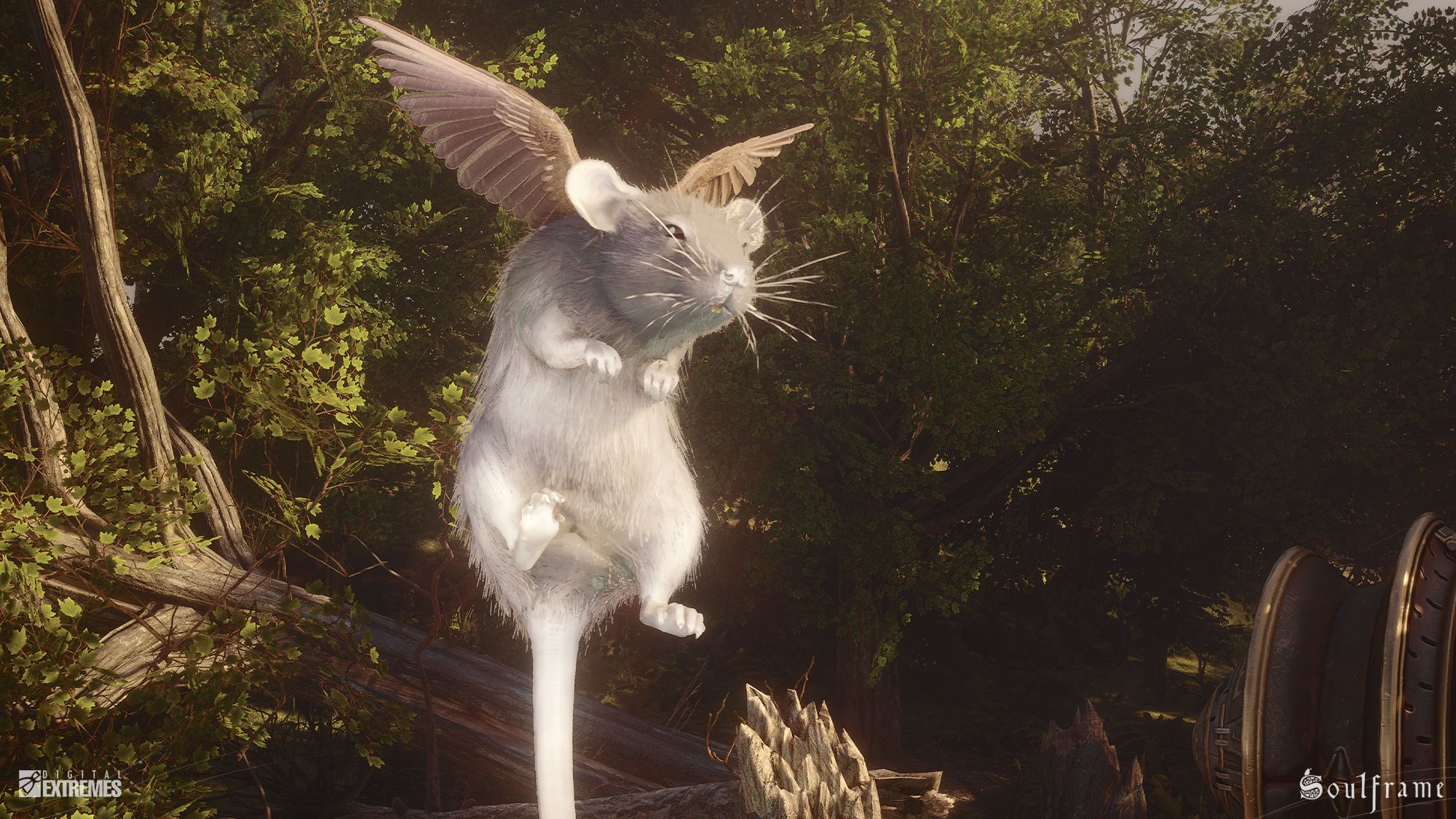 Soulframe: The Stunning New Free RPG From Warframe Creators