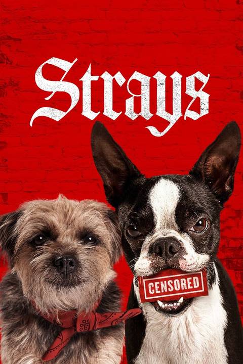 What Types Of Dogs Reggie & The Other Main Characters Are In Strays