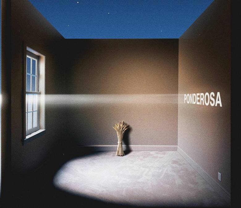 Ponderosa Summary, Trailer, Cast, Where to Watch and More