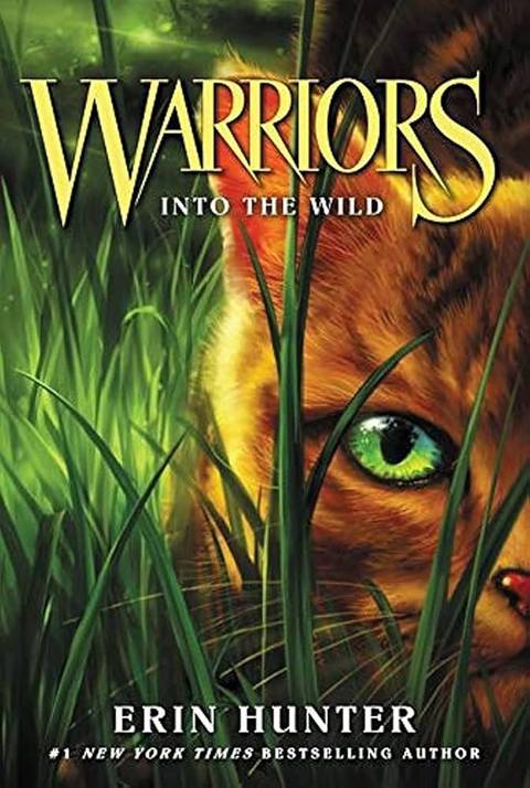 Disney+ Officially Adapting 23-Year-Old Fantasy Novel Franchise With ...