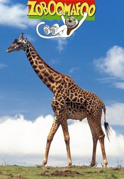 Zoboomafoo Summary, Trailer, Season List, Cast, Where to Watch and More