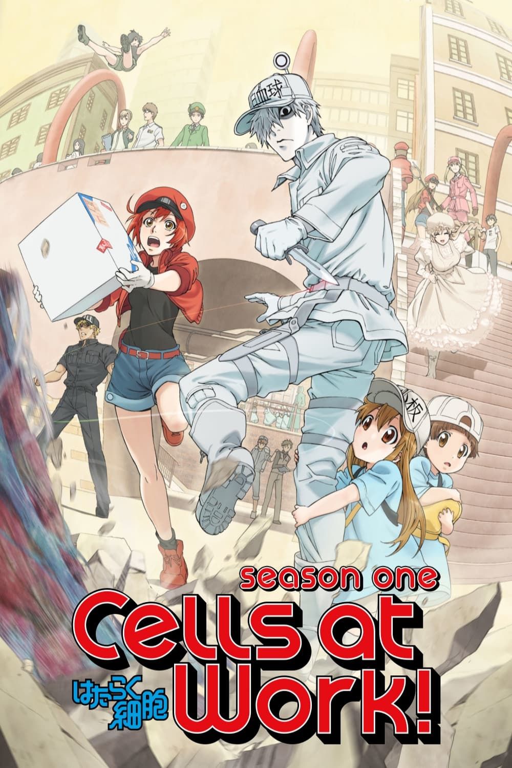 Cells At Work! Summary, Latest News, Trailer, Season List, Cast, Where ...