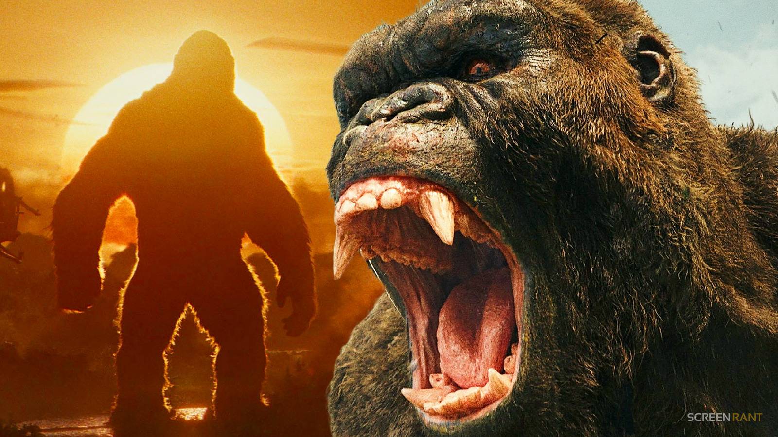 Why Kong 2 Still Hasn’t Happened 6 Years After $561 Million Hit