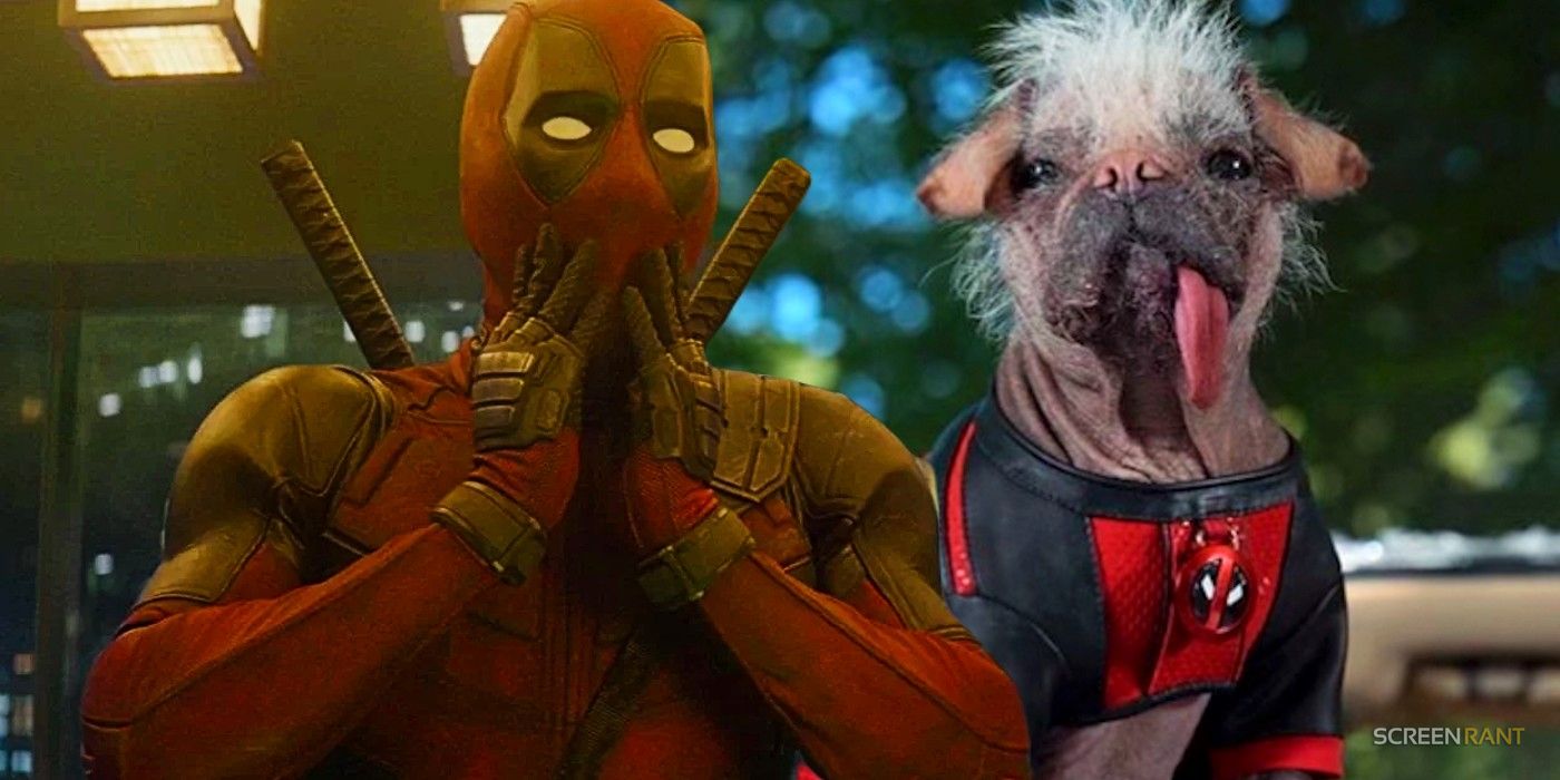 First Official Deadpool 3 Photo Released In 5 Months Reveals Ryan ...