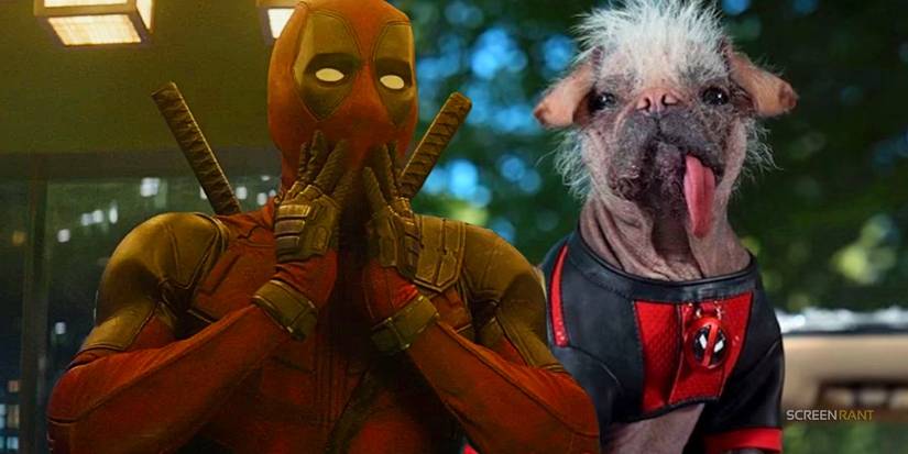 Ryan Reynolds Has A New Suit, No Scars & A Man Bun As New Deadpool ...