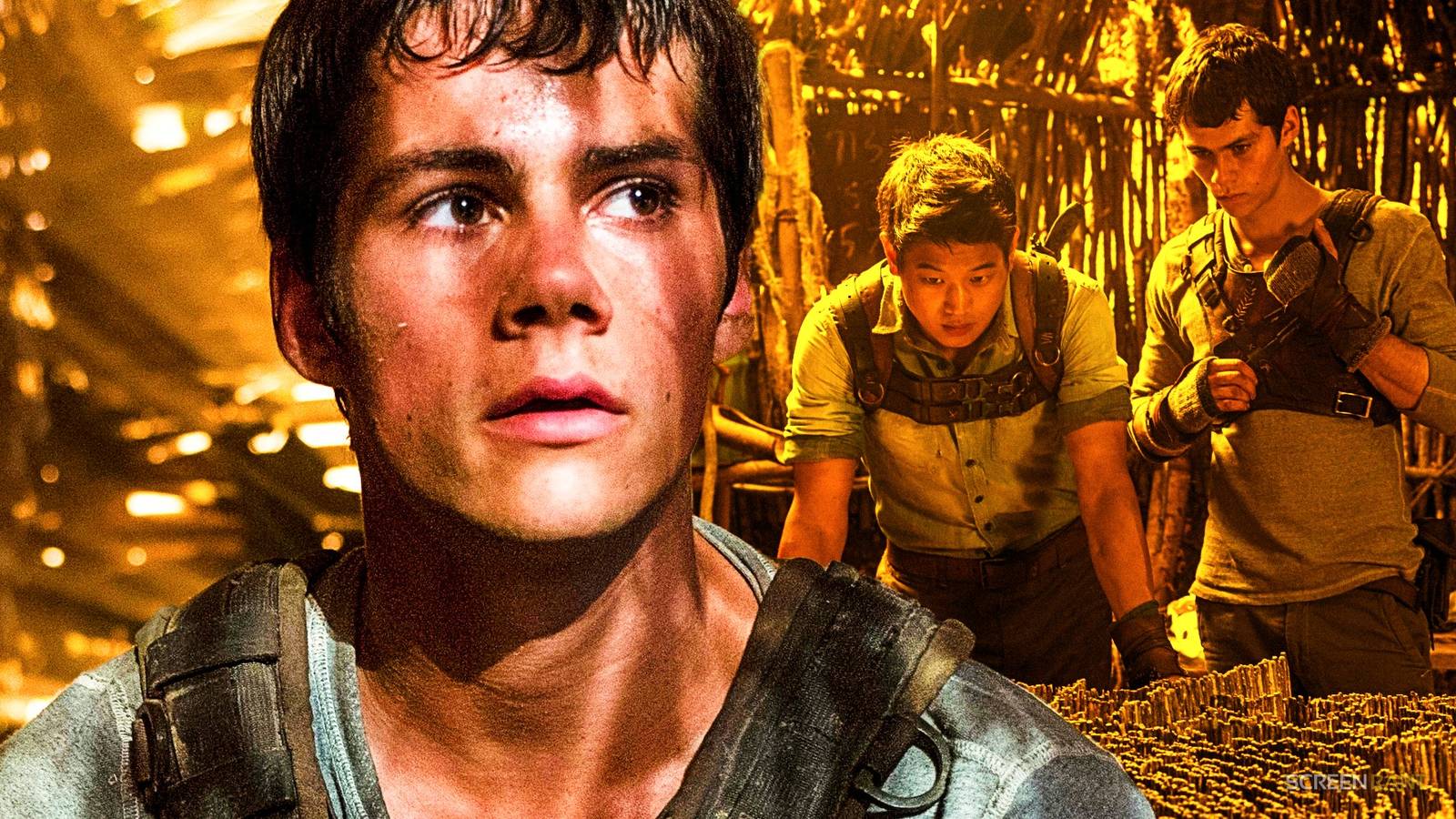 The Maze Runner Ending & The Real Experiment Explained