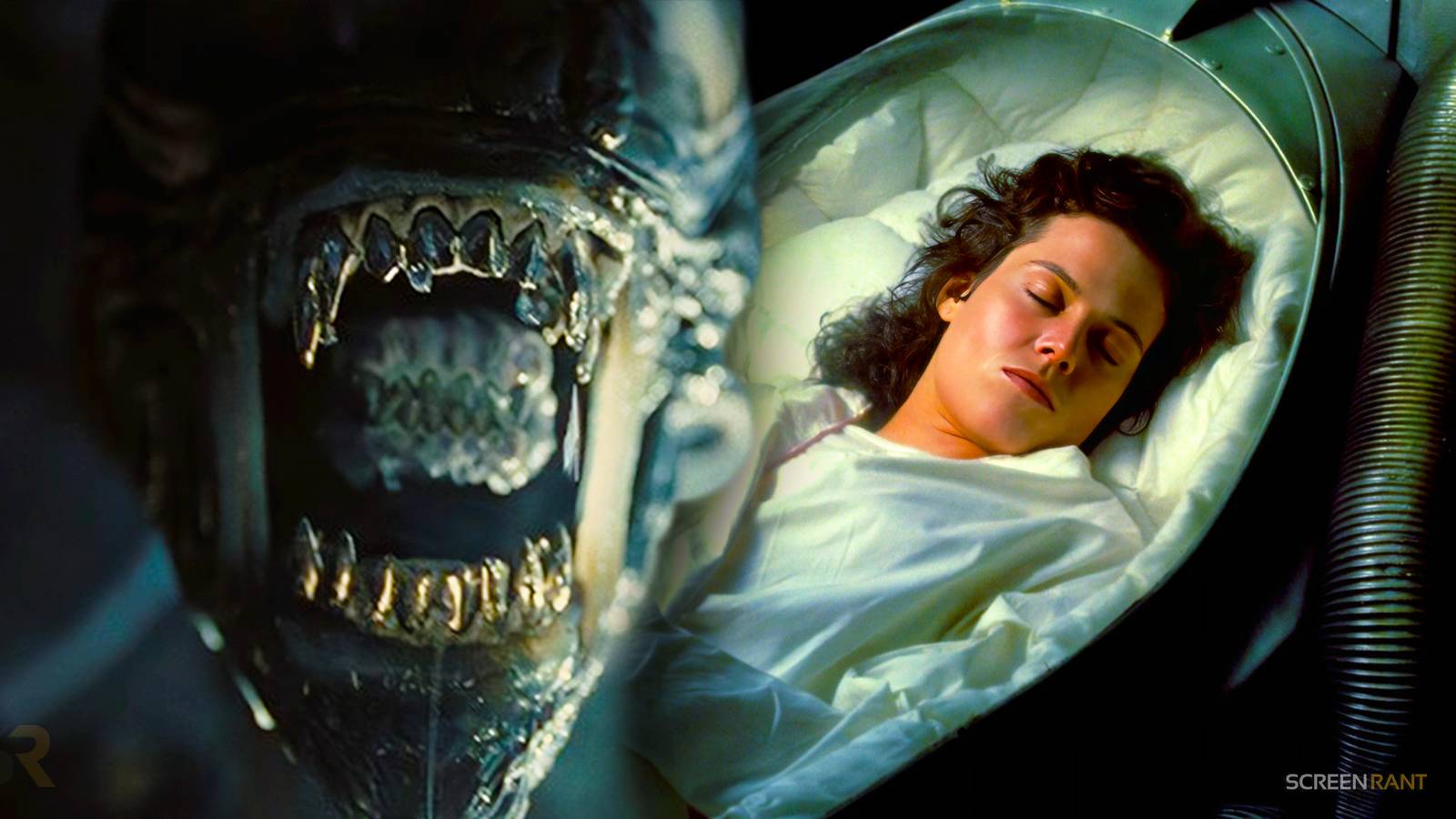Alien: Romulus' Ripley Easter Egg Sets Up A Controversial Sequel With ...
