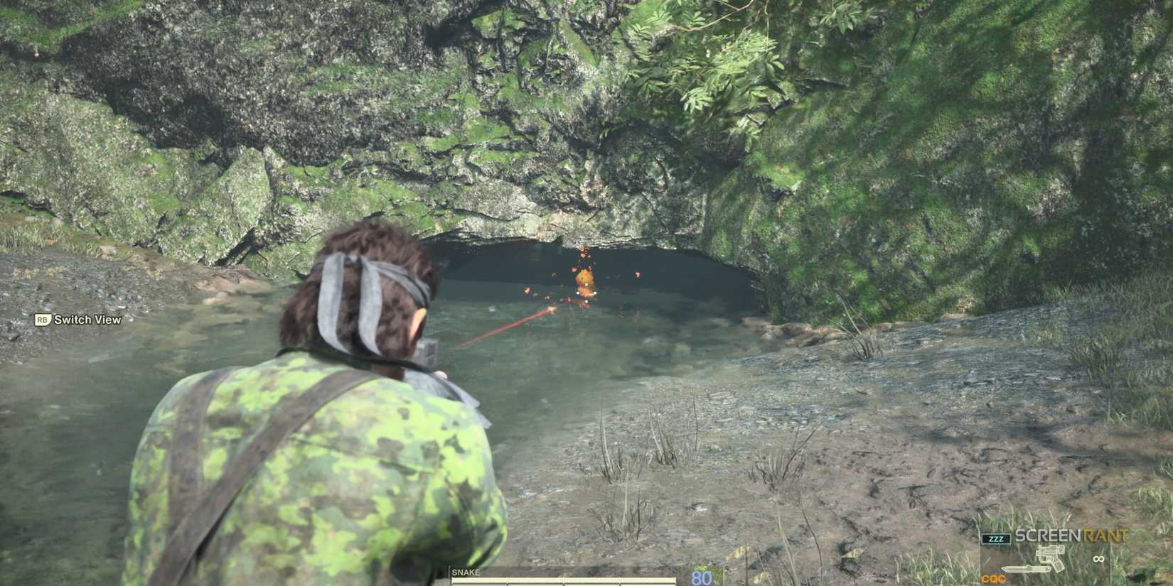 8 Things To Do After Beating Metal Gear Solid Delta: Snake Eater